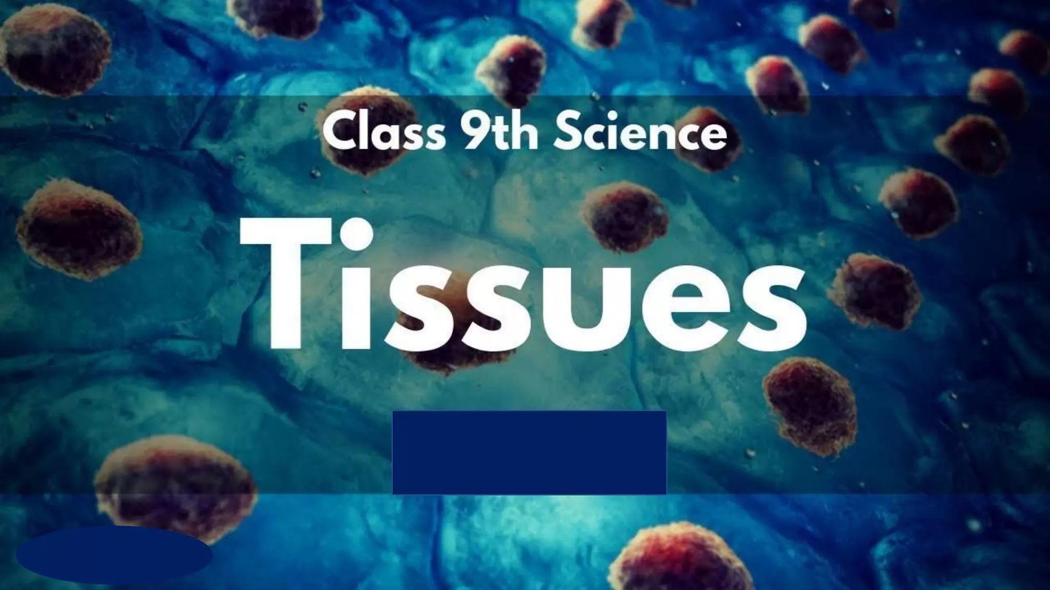 Tissues ppt- class 9 | PPT