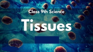 Tissues ppt- class 9 | PPTX