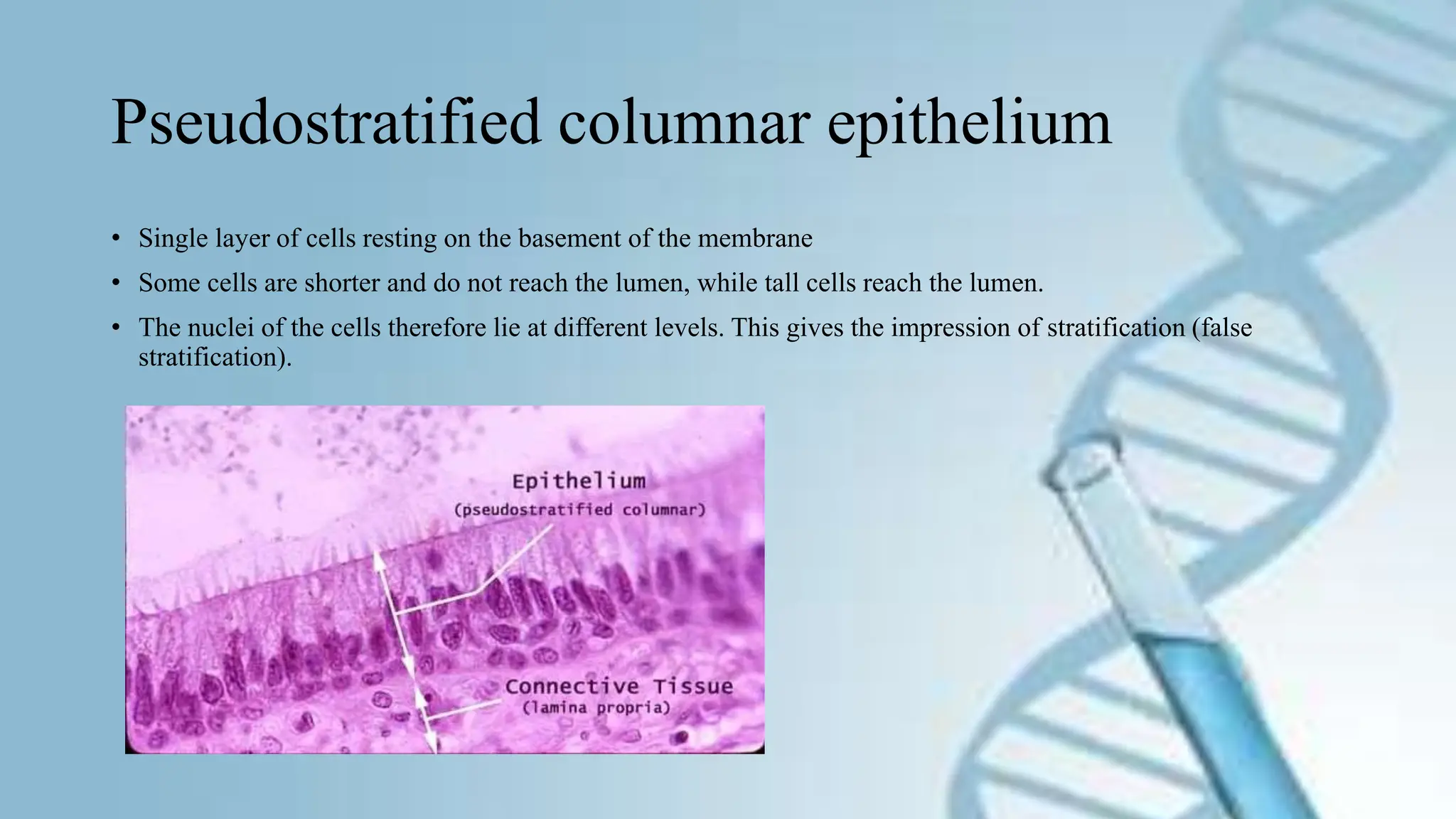 Tissues - slideshare.pptx