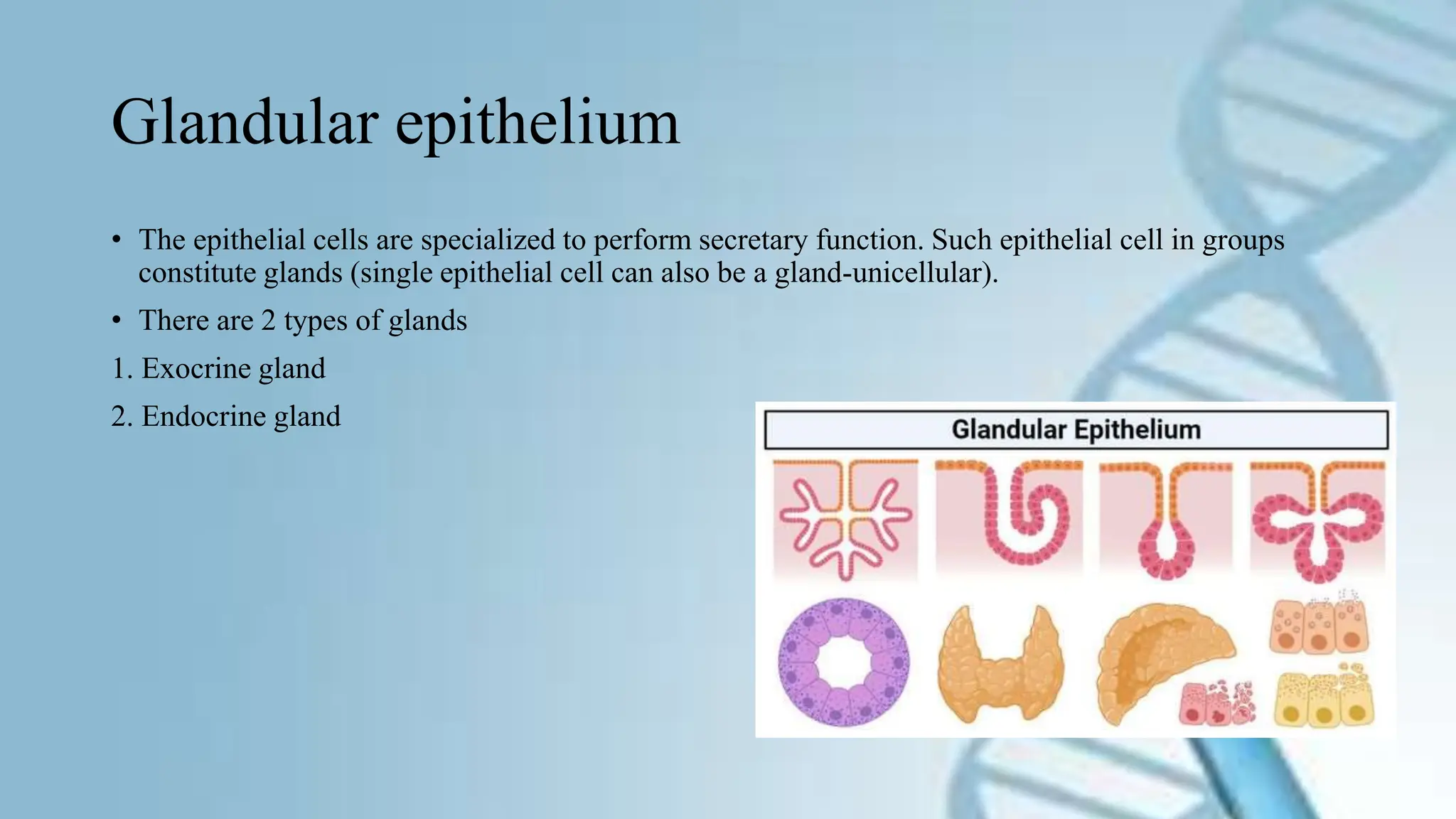 Tissues - slideshare.pptx