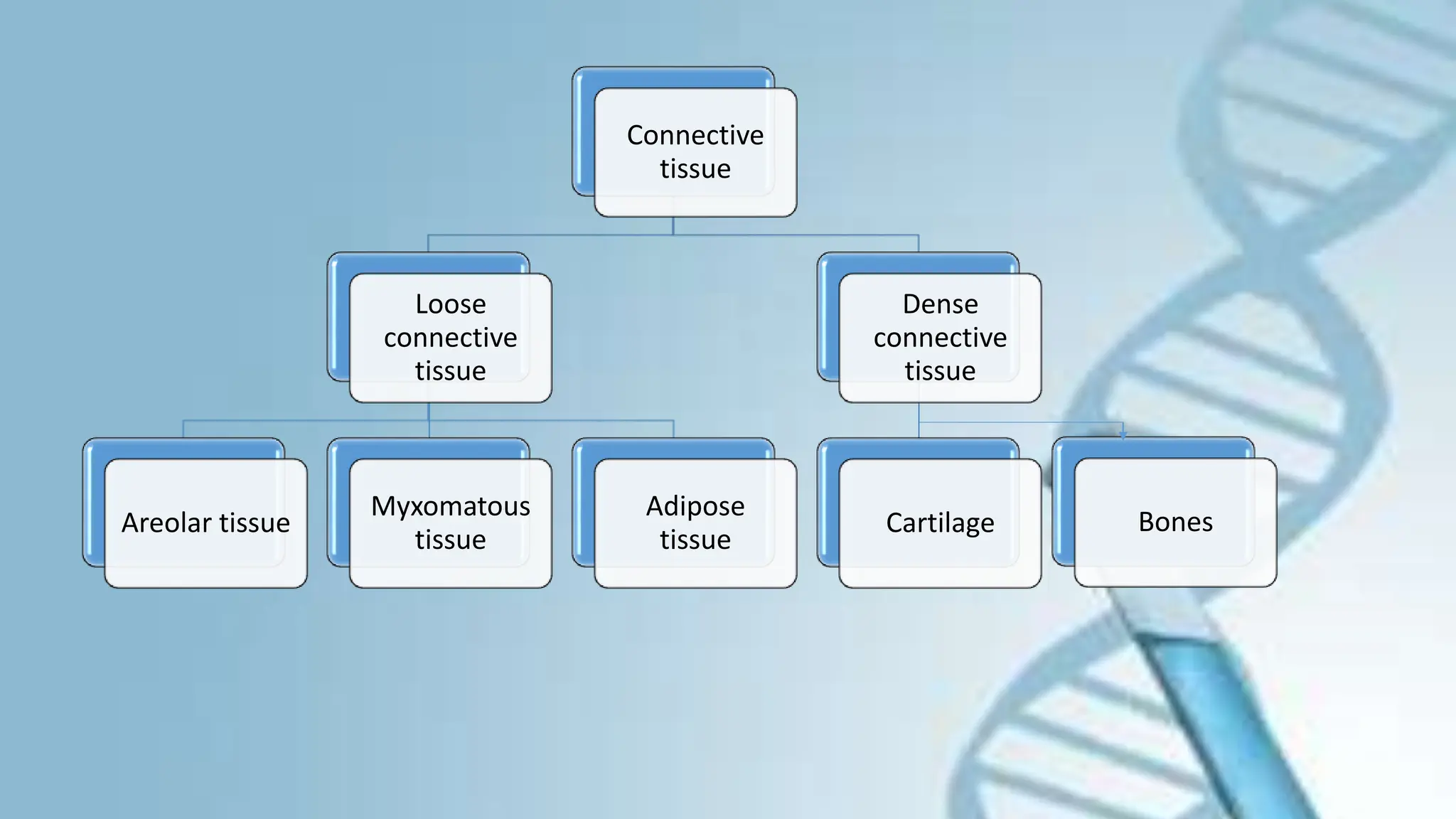 Tissues - slideshare.pptx