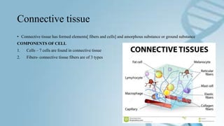 Tissues - slideshare.pptx