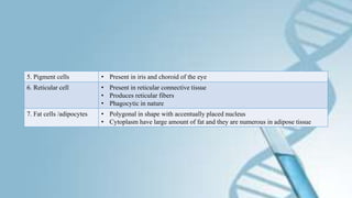 Tissues - slideshare.pptx