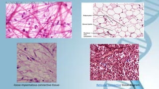 Tissues - slideshare.pptx