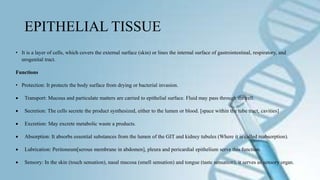 Tissues - slideshare.pptx