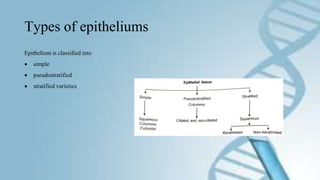 Tissues - slideshare.pptx