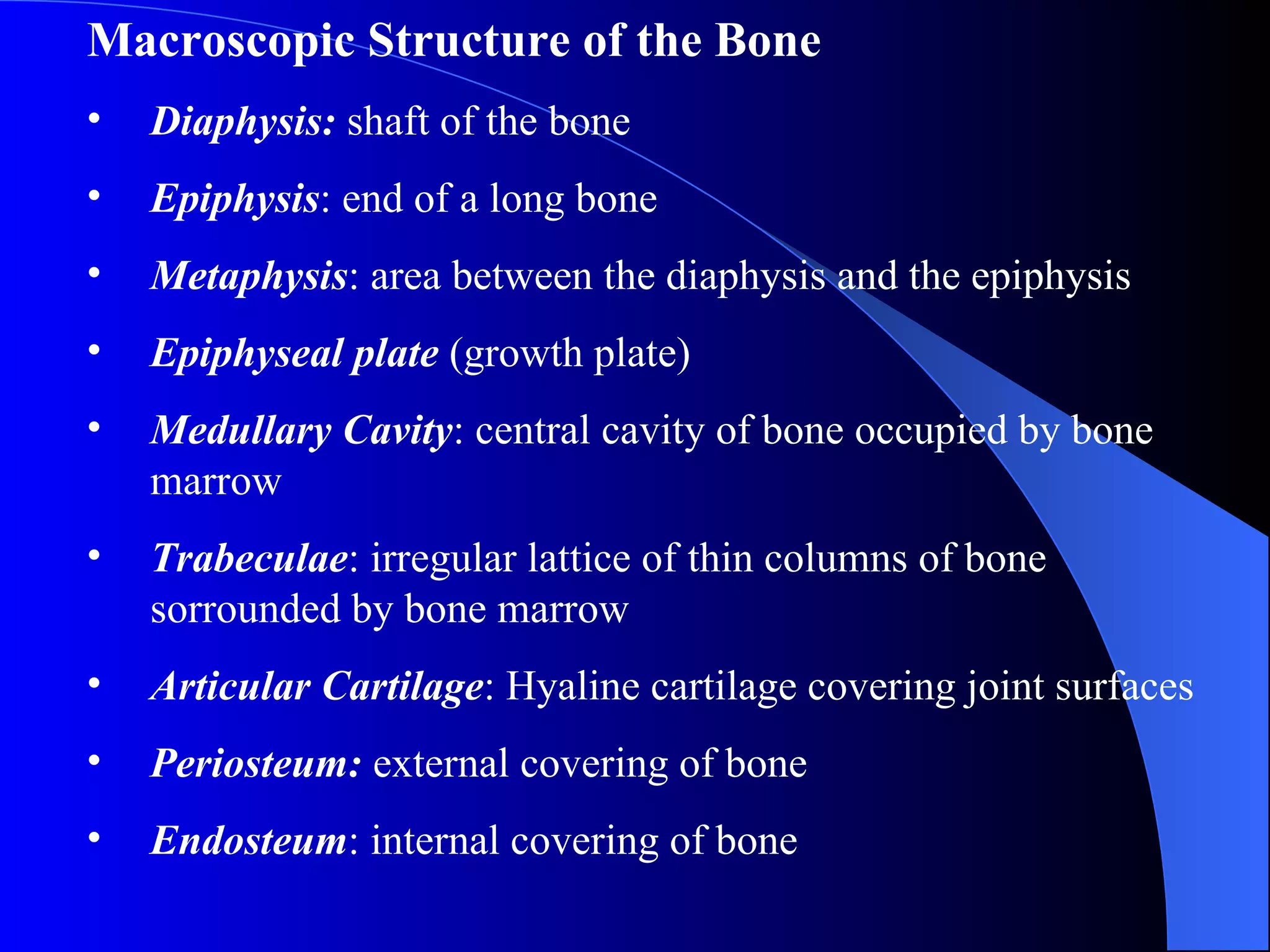 Tissues. types | PPT
