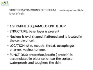 TISSUES - Epithelial tissue | PPTX
