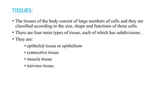 Types of Tissues present in human body.pptx