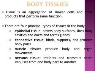 Tissues | PPTX