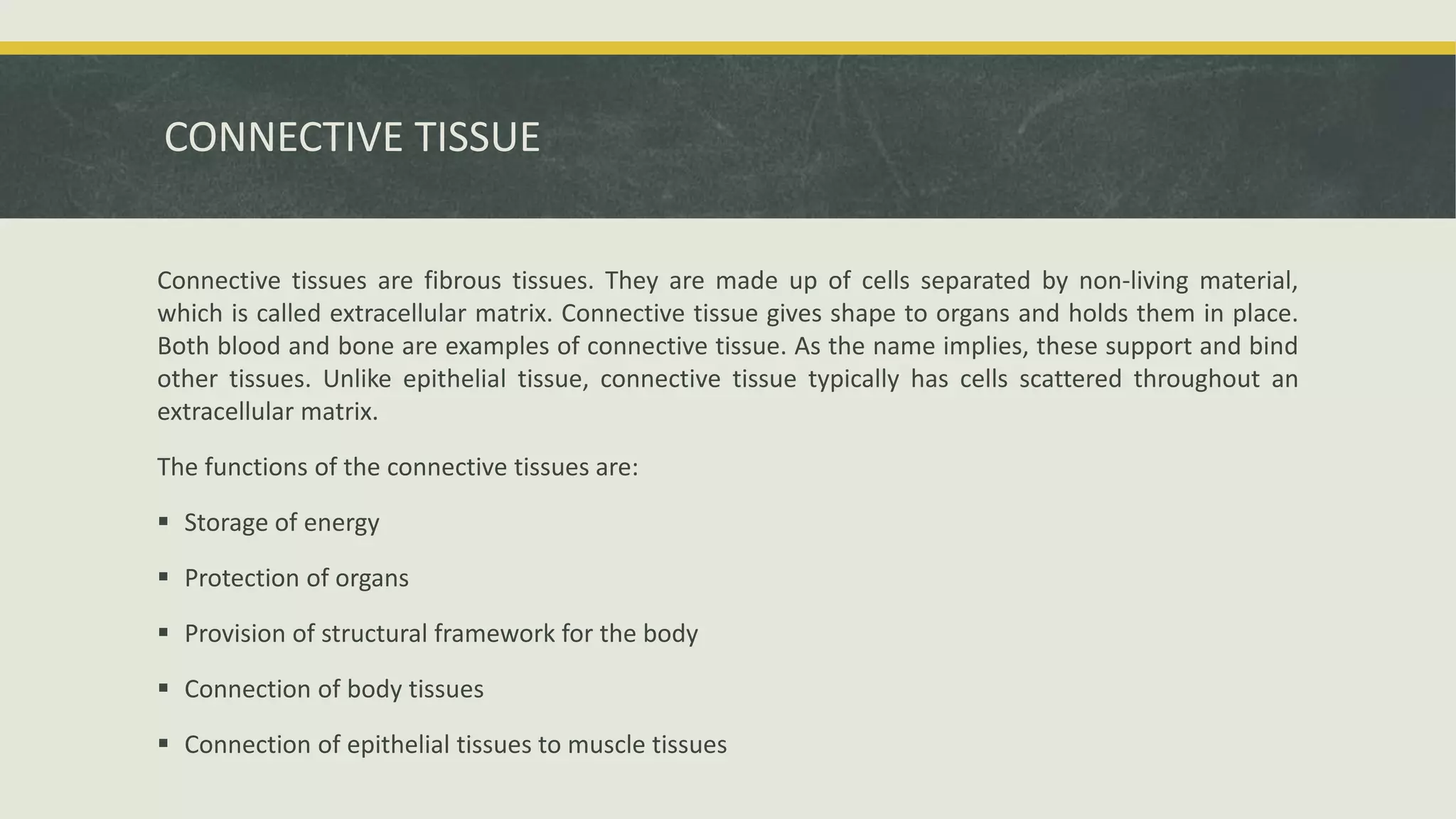 Tissues | PPTX