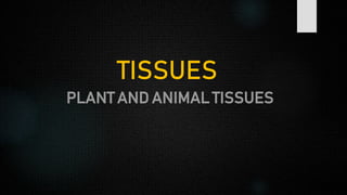 Tissues (1).pptx FOR CLASS 8 AND 9 FOR ICSE | PPTX