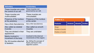 Tissues (1) (1).pptx .pdf (contemporary biology)) | PPT