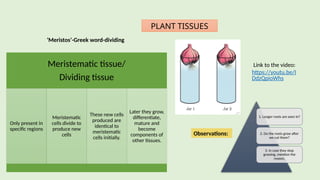 Tissues (1) (1).pptx .pdf (contemporary biology)) | PPT