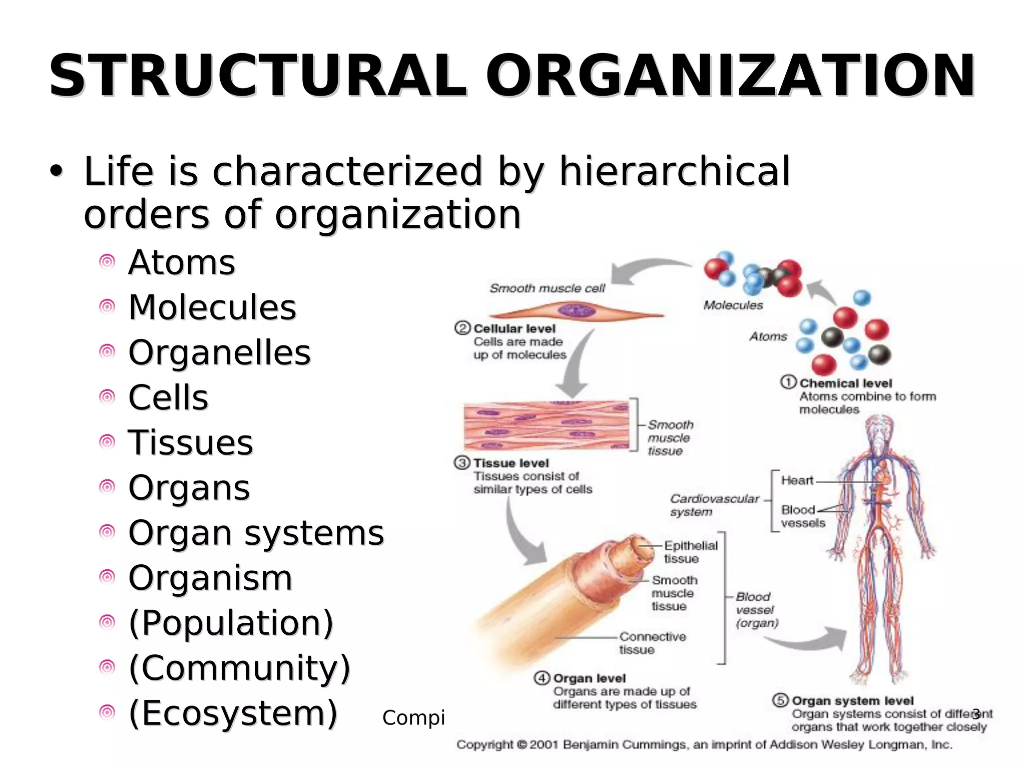 1. Brief Introduction & organization of human body | PDF