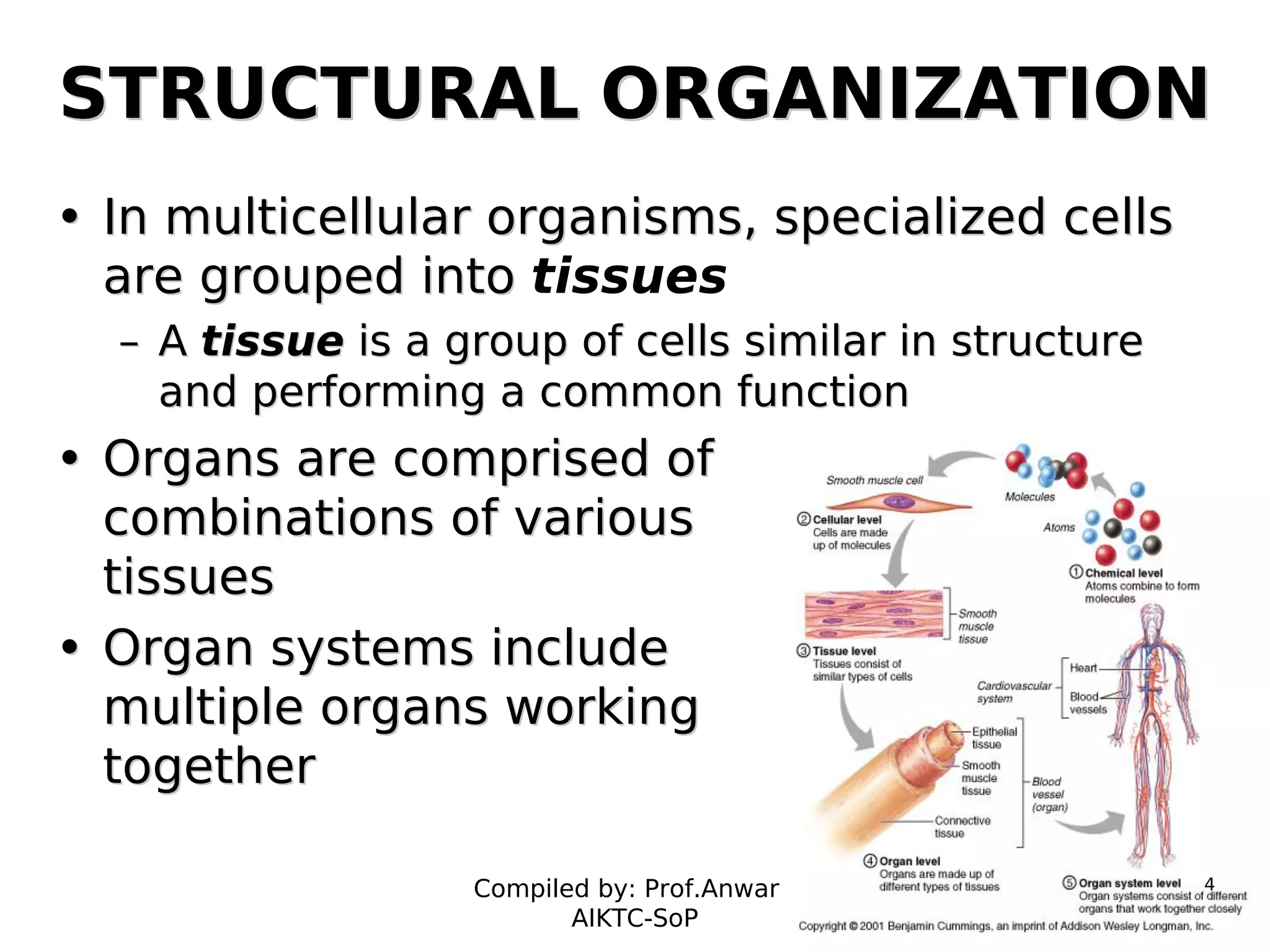1. Brief Introduction & organization of human body | PDF