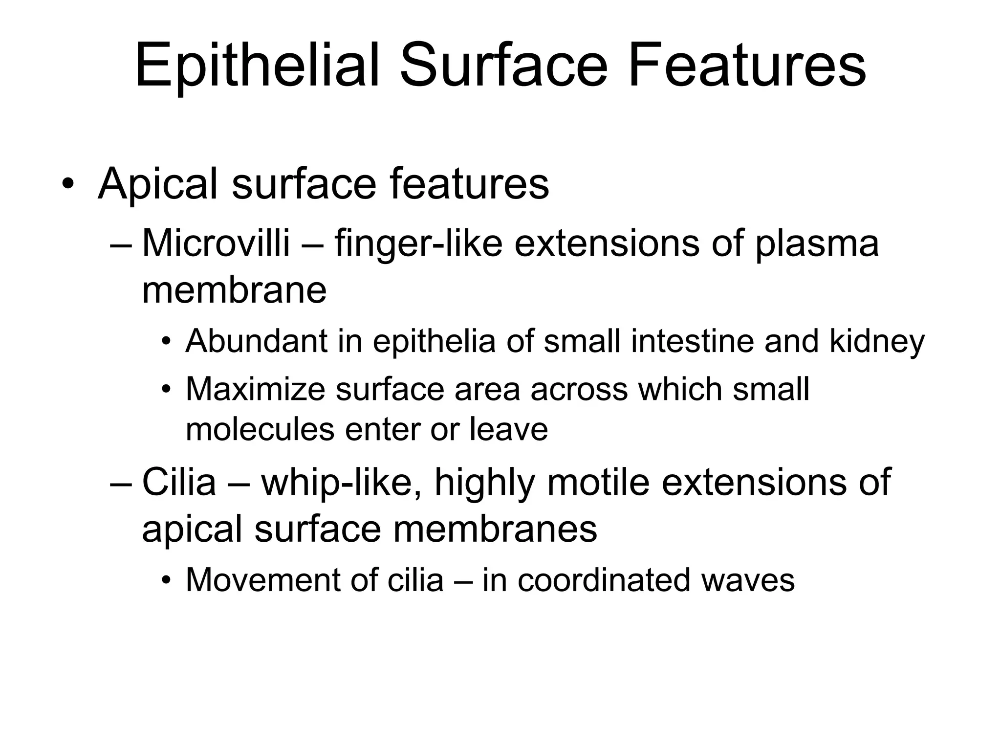 tissues and histology-1.pptx