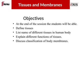 TISSUES AND MEMBRANES.power point presentation | PPTX