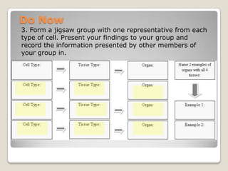 Tissues and Ogans | PPTX