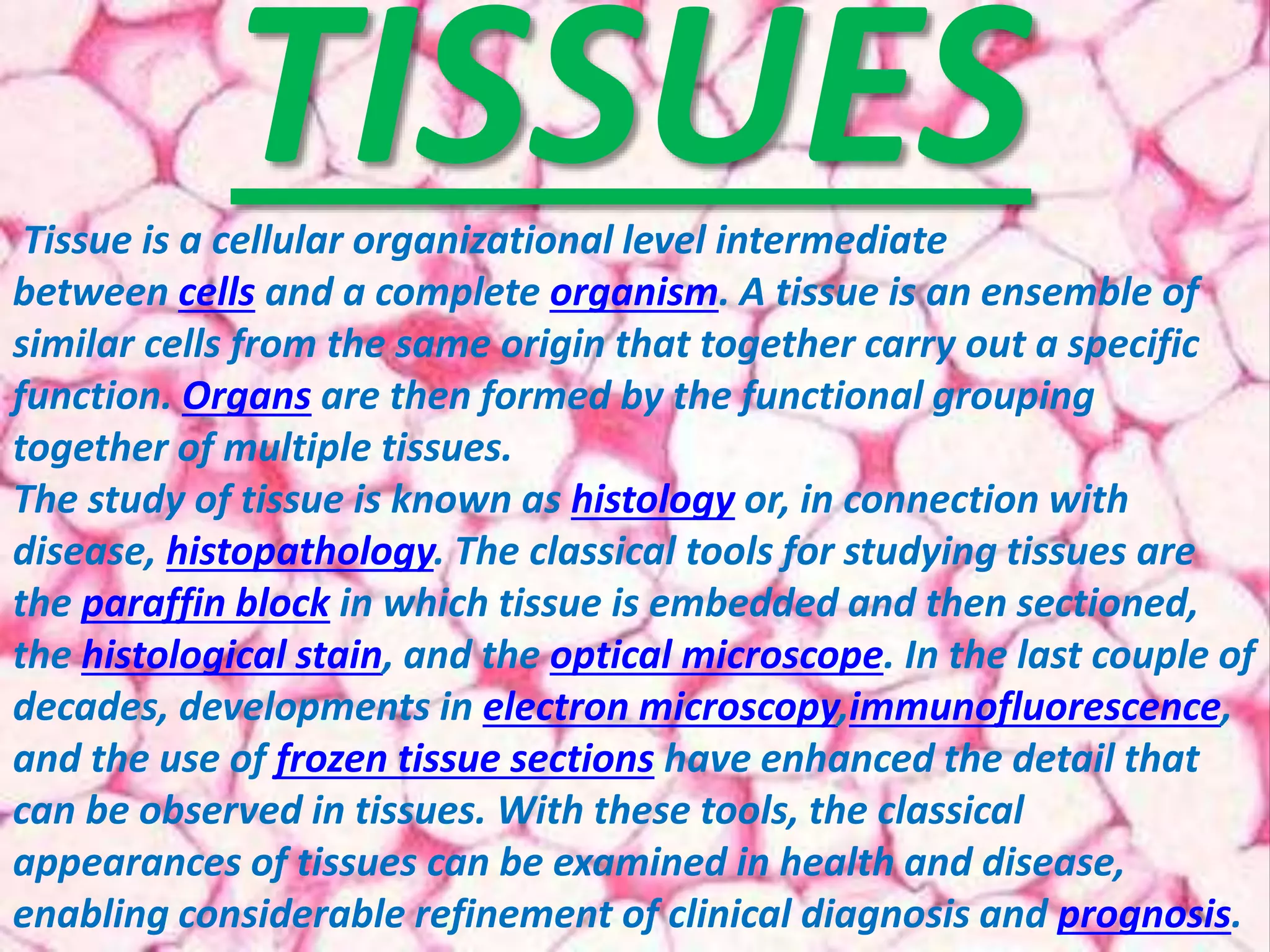 Tissues and types of plant tissues | PPTX
