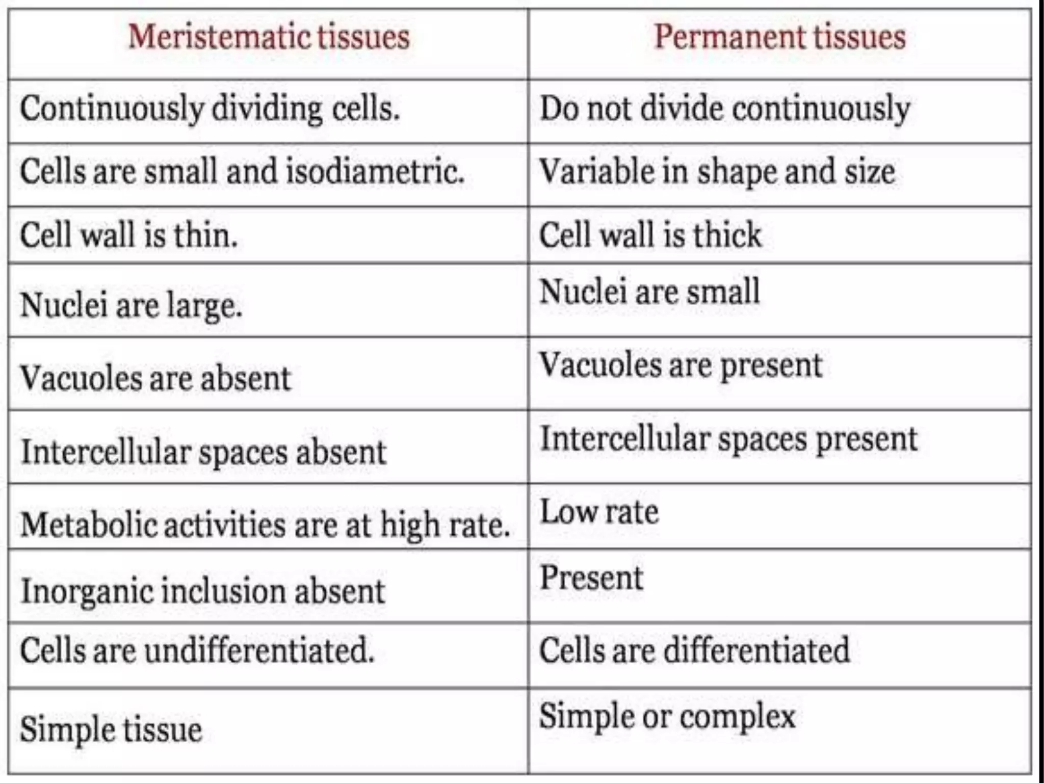 Tissues and types of plant tissues | PPTX