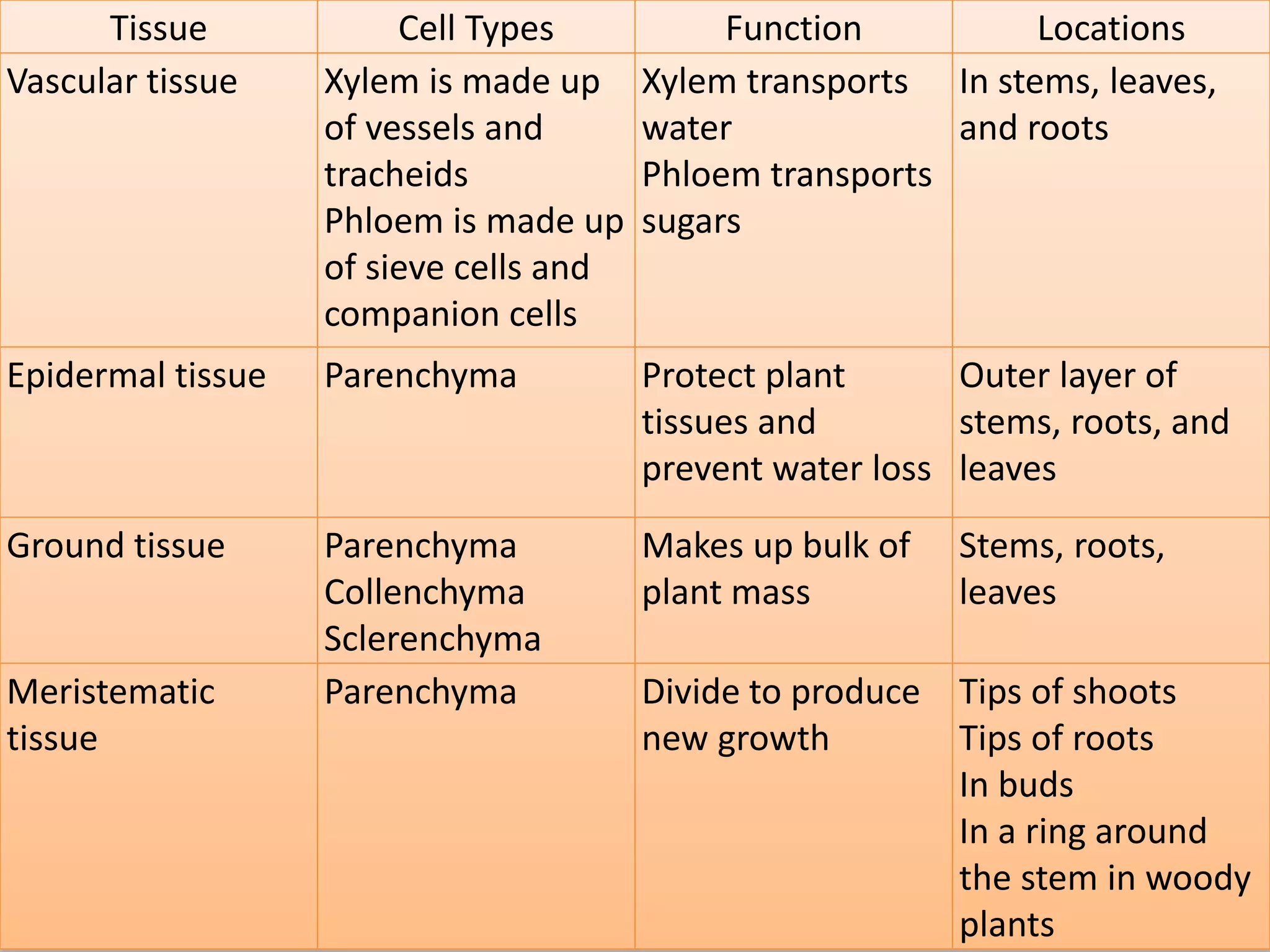 Tissues and types of plant tissues | PPTX