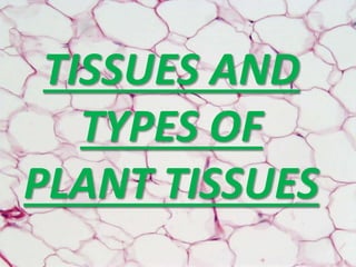 Tissues and types of plant tissues | PPTX