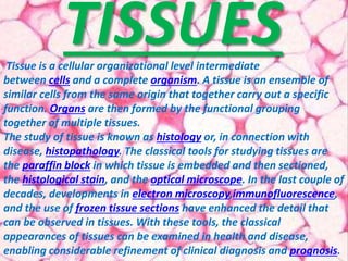 Tissues and types of plant tissues | PPTX
