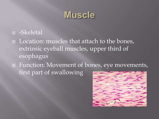 Tissues artifact | PPT