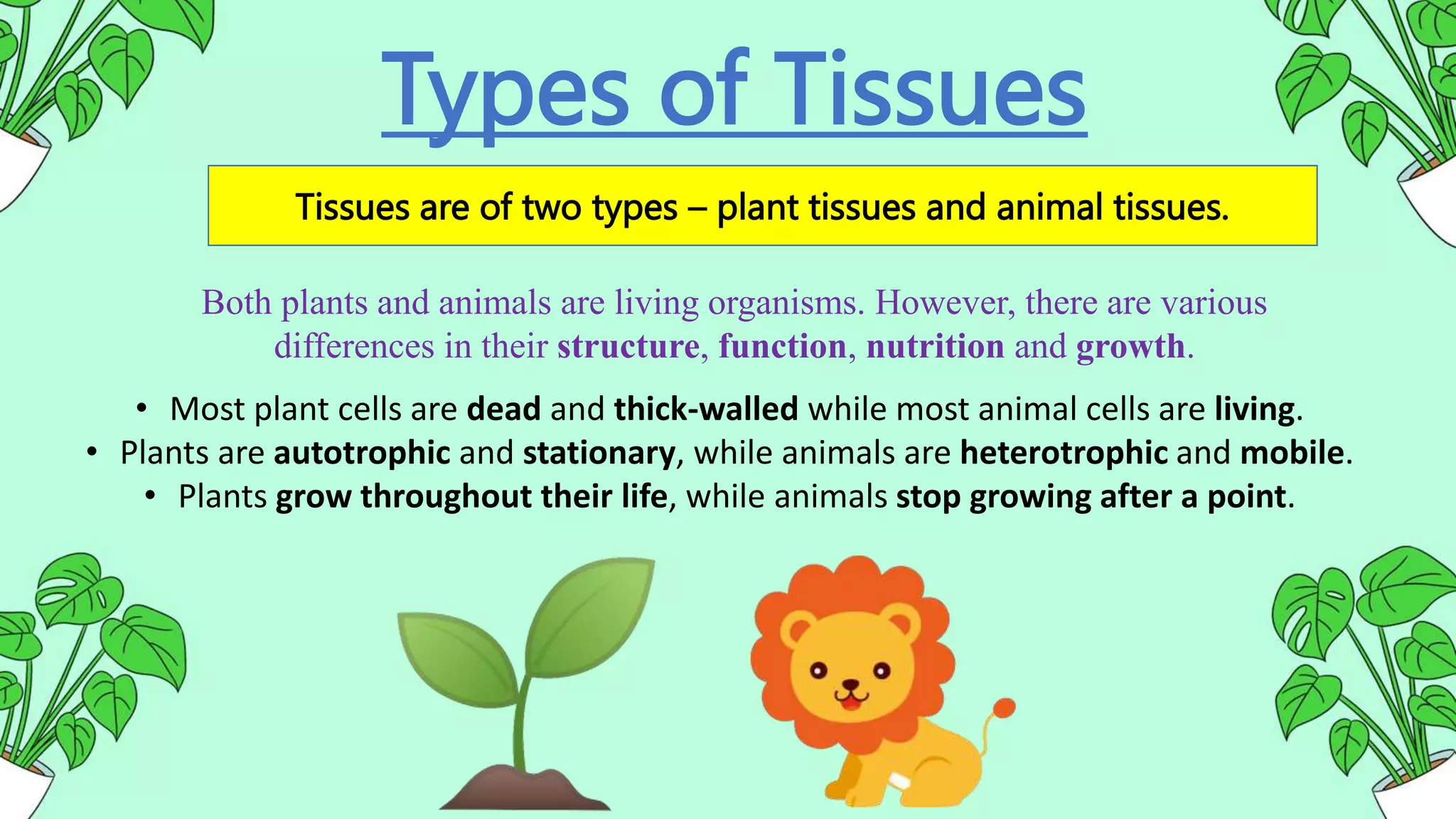 Tissues Biology.pptx