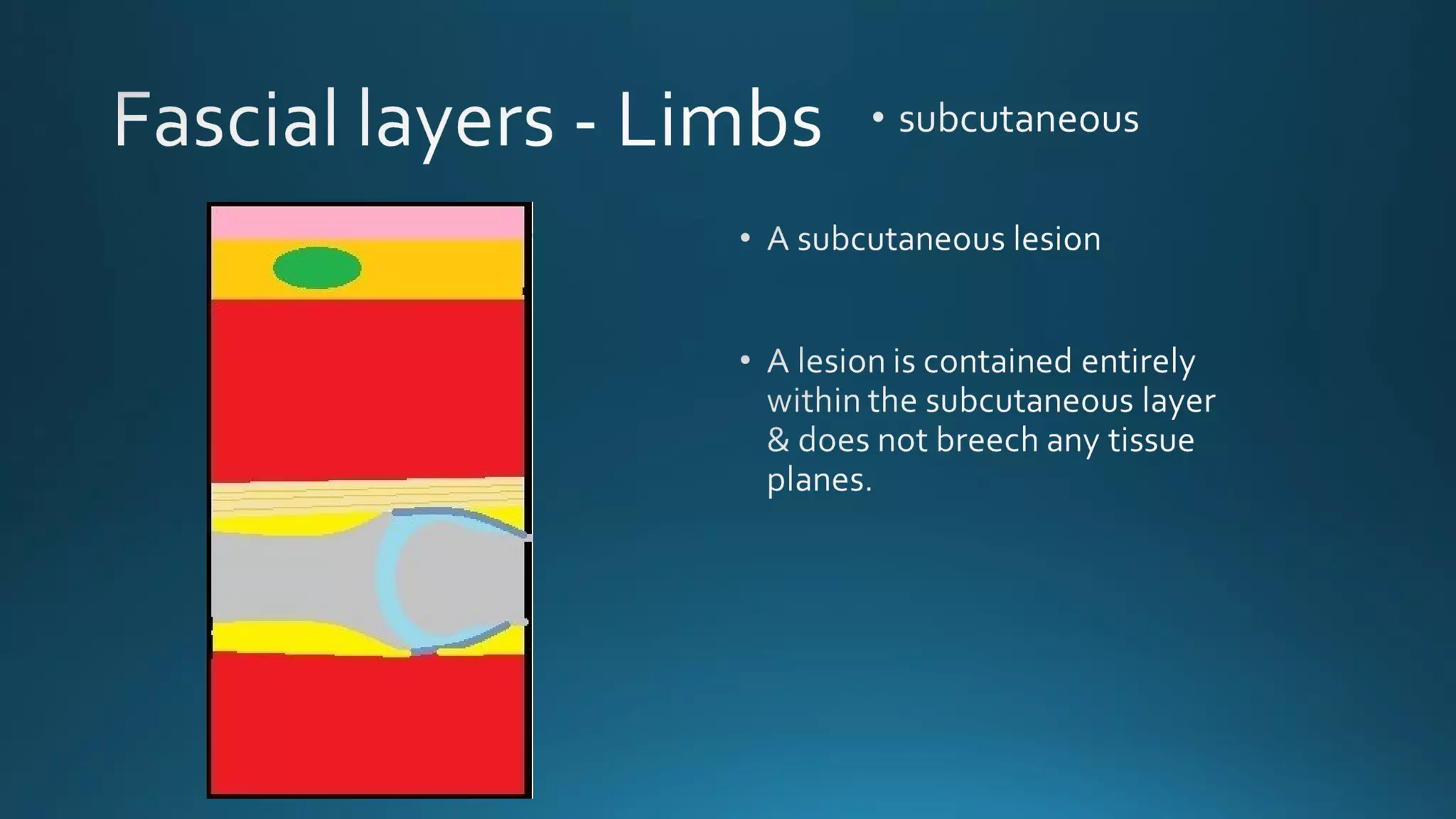 Tissues compartments and planes in ultrasound | PPT
