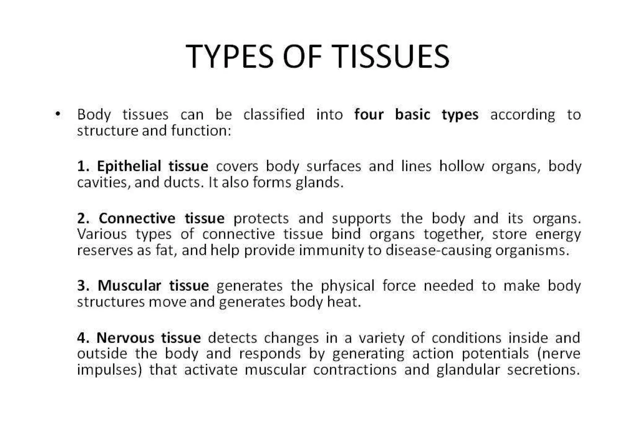 Tissues epi and con | PDF