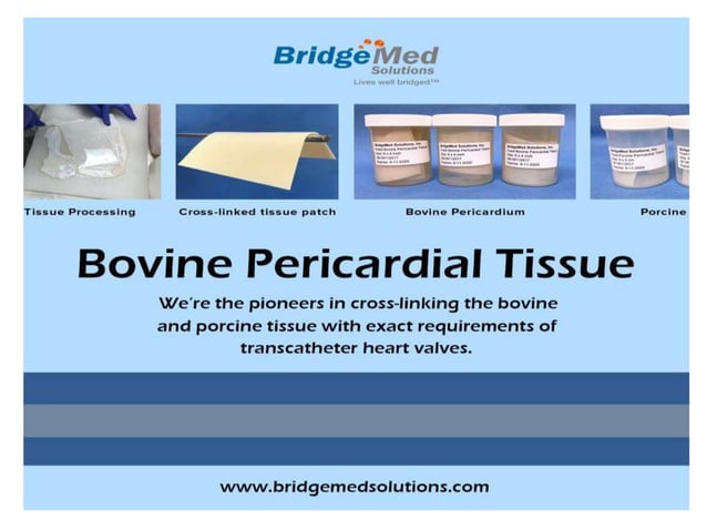 TISSUE SERVICES | PPT