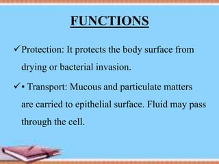 TISSUES OF THE BODY.pptx