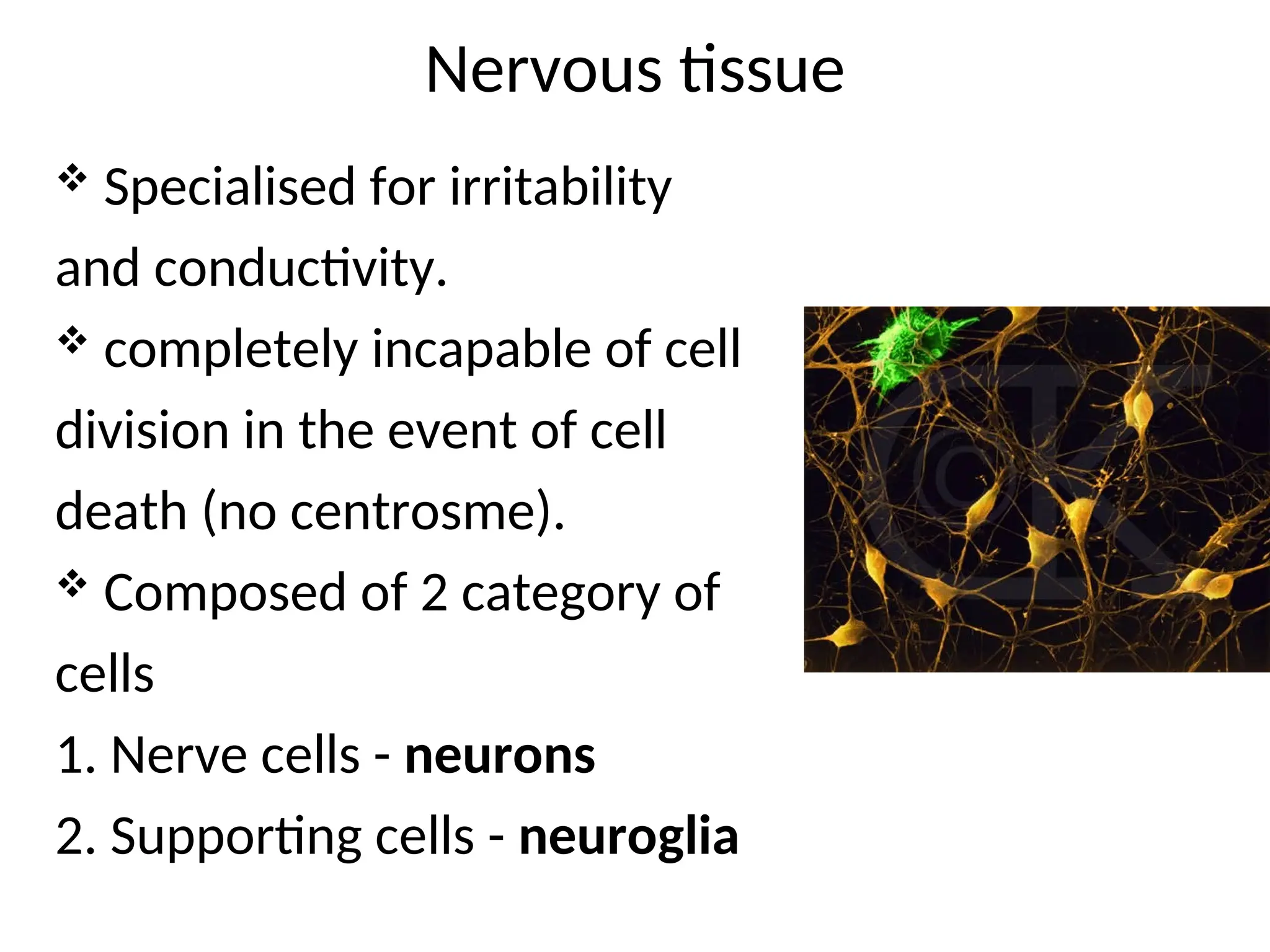 The Tissues of the human body for student | PPT