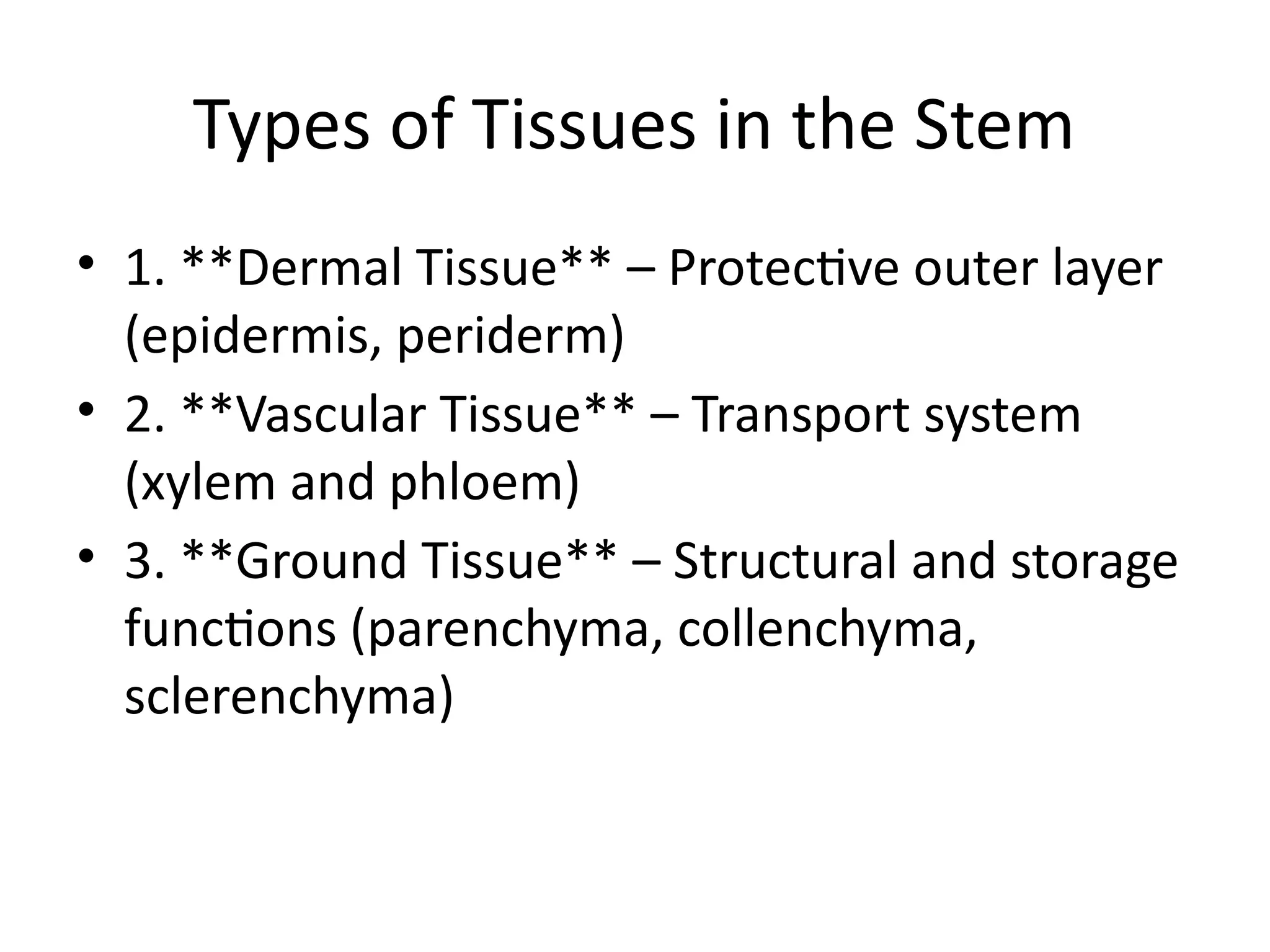 STUDY OF THE STEM TISSUE IN THE PLANT.pptx