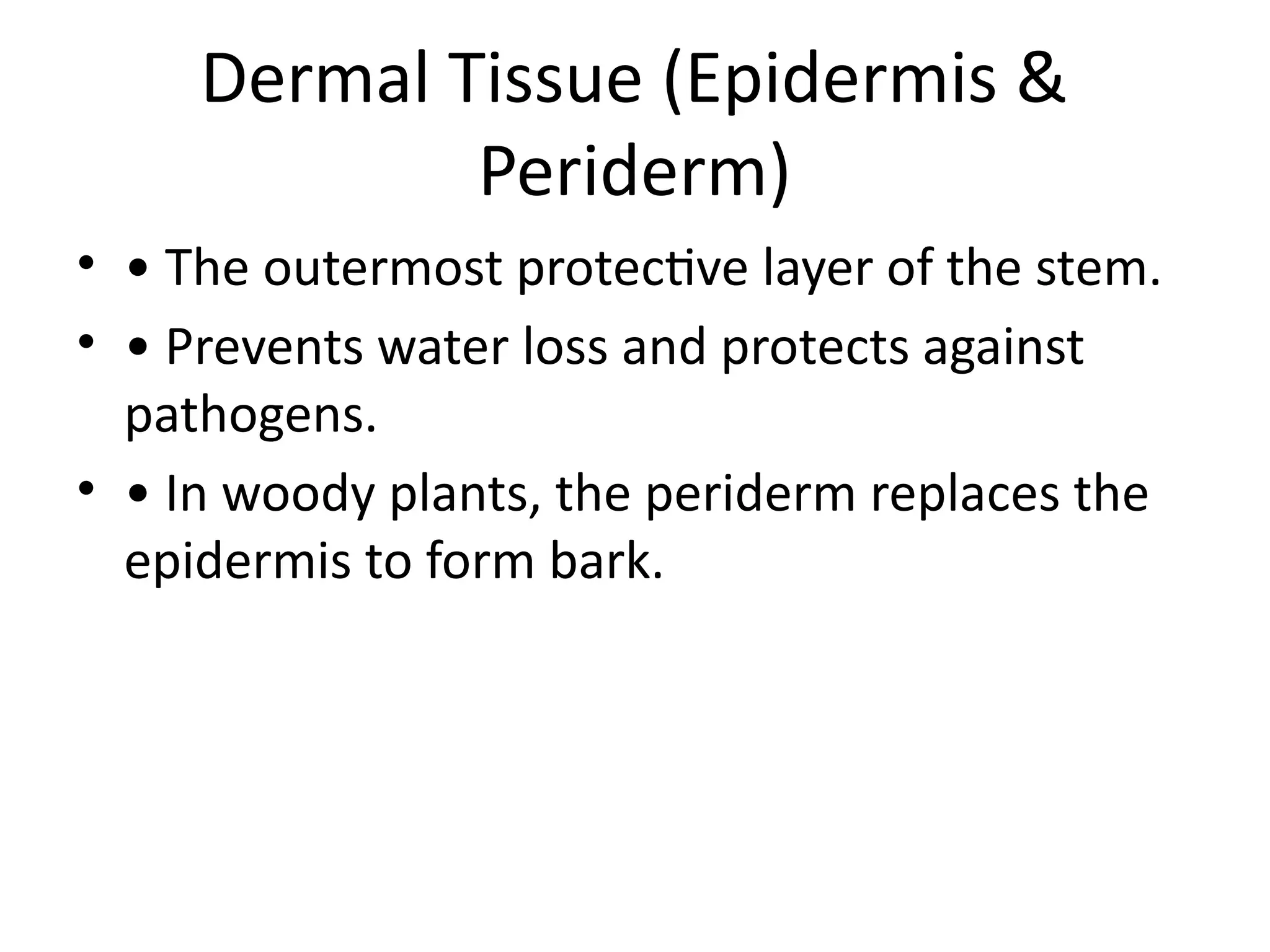STUDY OF THE STEM TISSUE IN THE PLANT.pptx