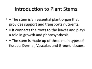 STUDY OF THE STEM TISSUE IN THE PLANT.pptx