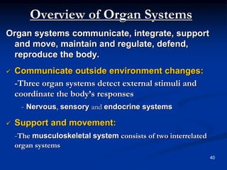 Tissues, Organs and Systems PPT.ppt