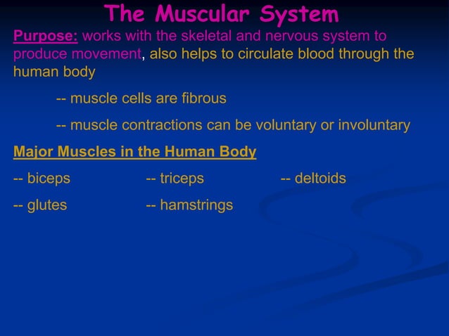 Tissues, Organs and Systems PPT.ppt