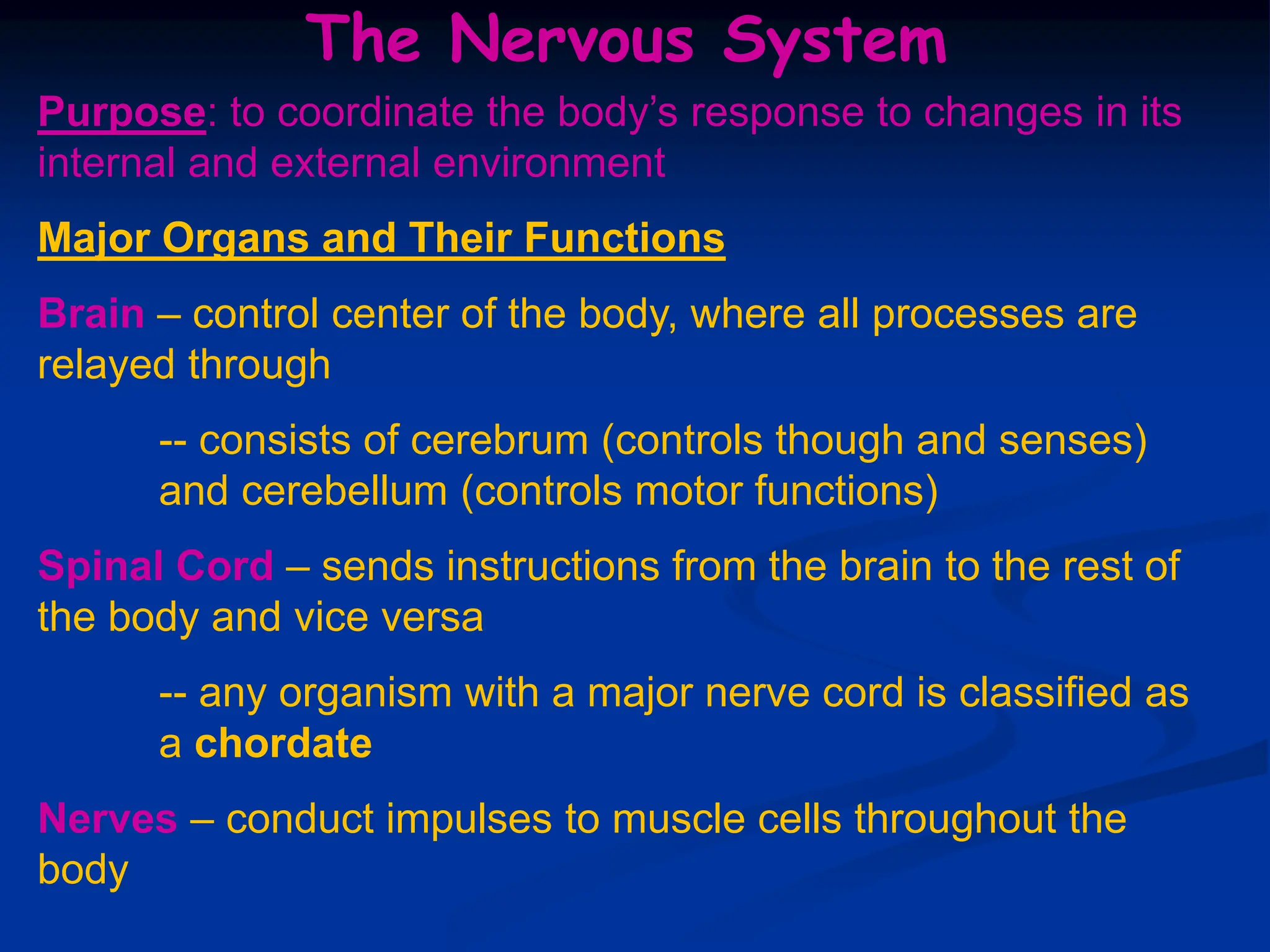 How Tissues, Organs and Systems function | PPT