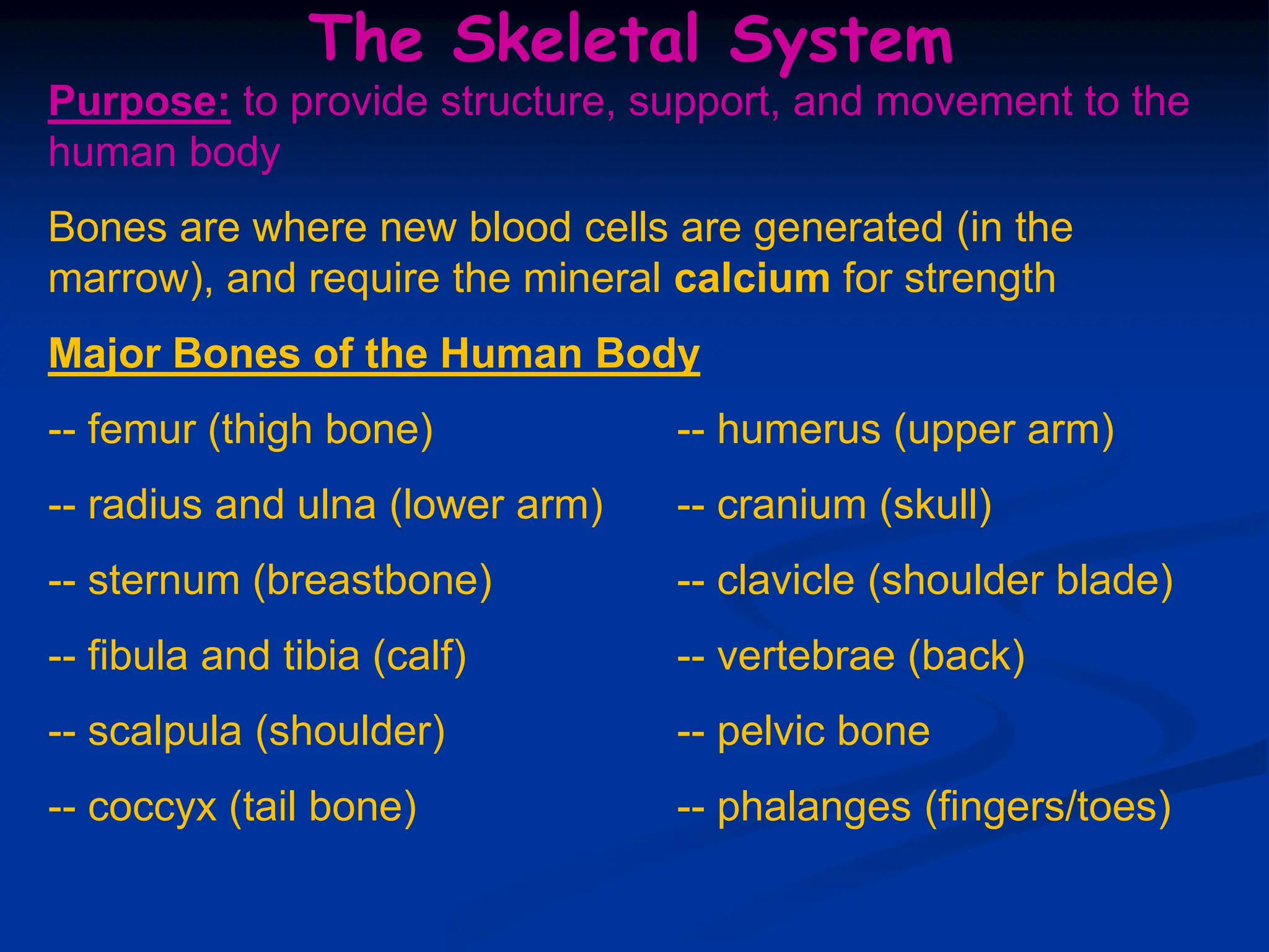 How Tissues, Organs and Systems function | PPT