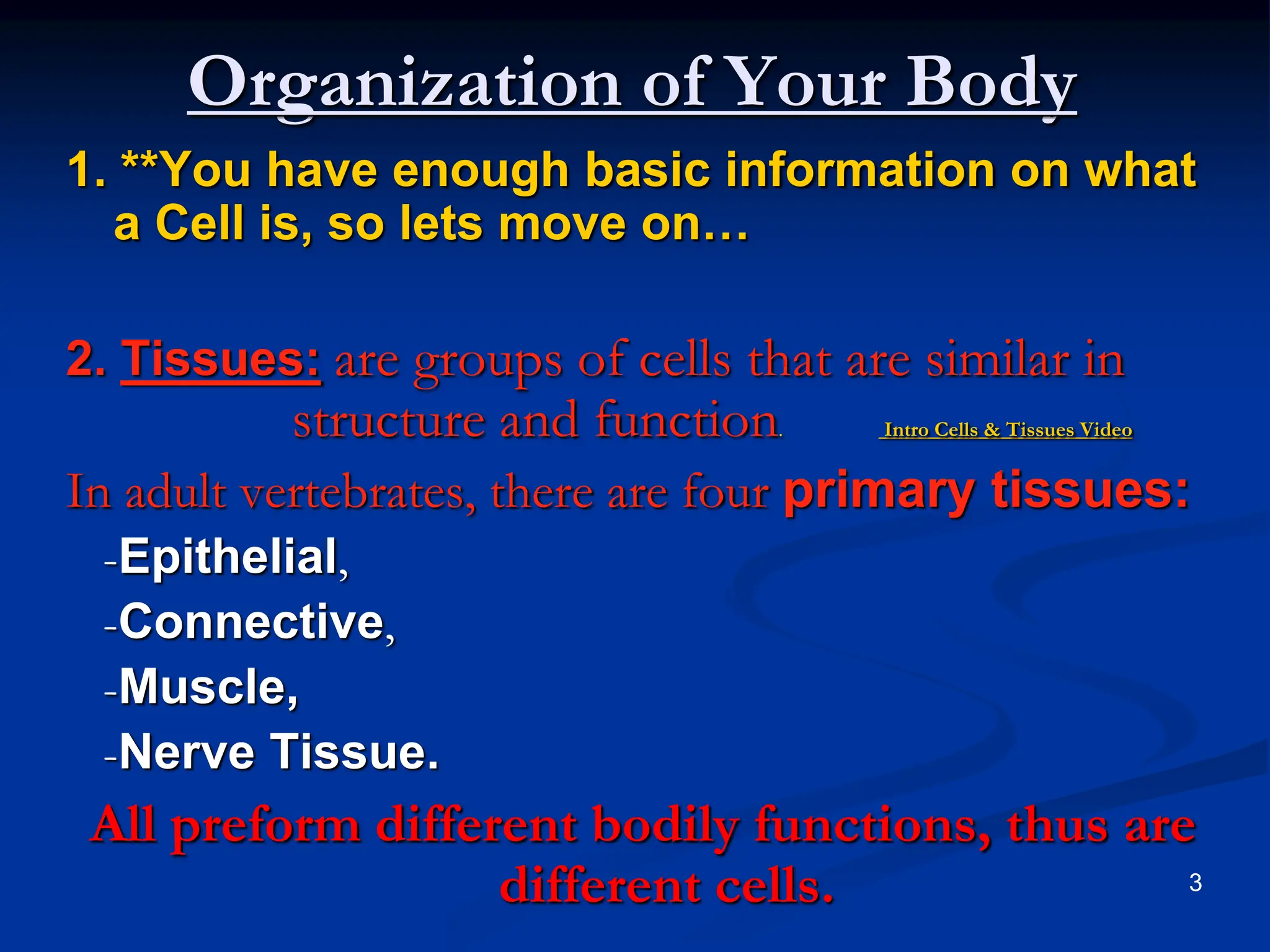 How Tissues, Organs and Systems function | PPT