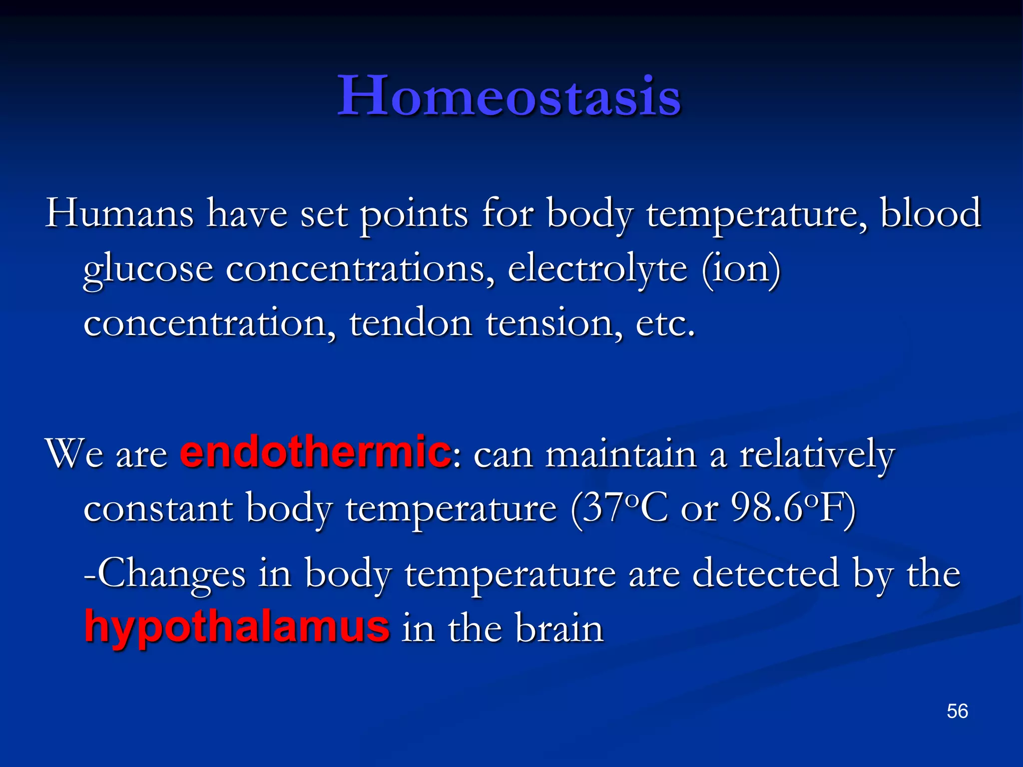Tissues, Organs and Systems PPT (1).ppt