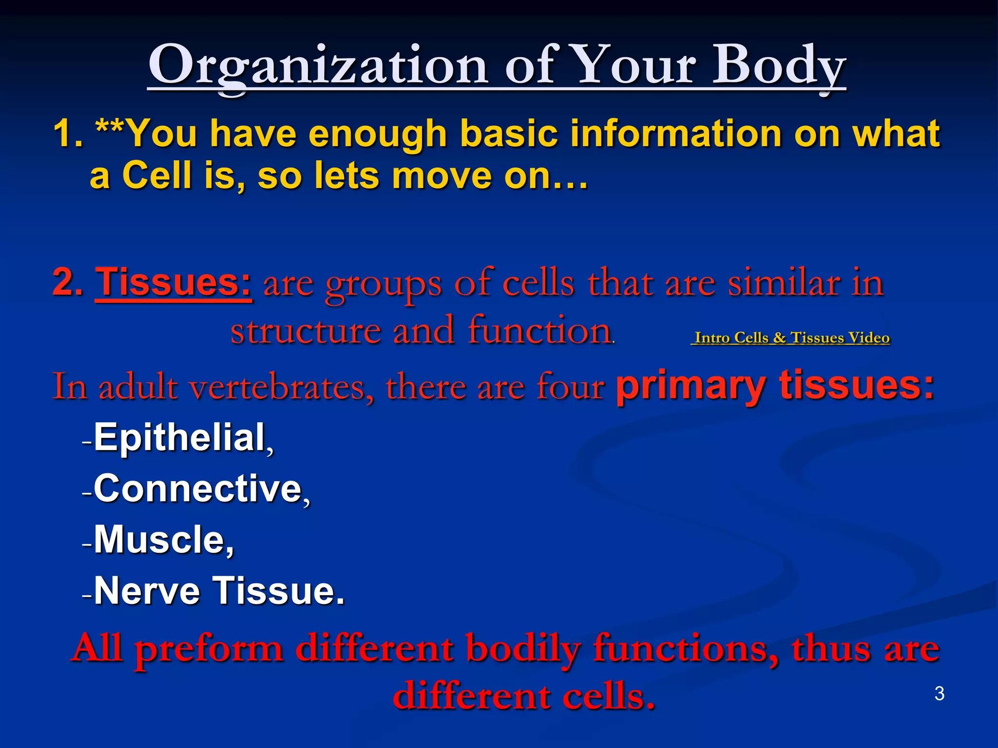 Tissues, Organs and Systems PPT (1).ppt
