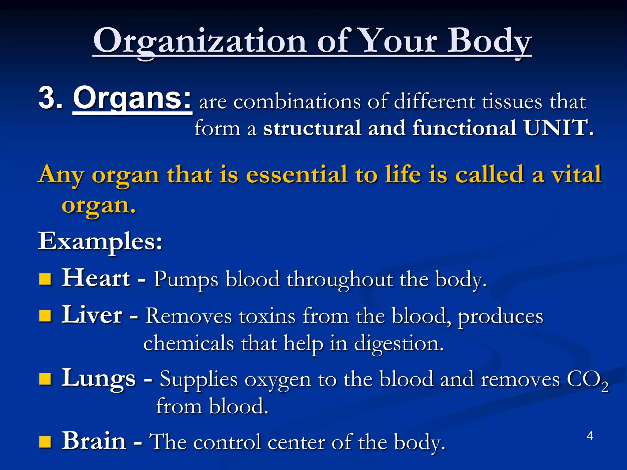 Tissues, Organs and Systems PPT (1).ppt