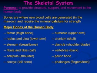 Tissues, Organs and Systems PPT (1).ppt