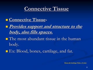 Tissues, Organs and Systems PPT (1).ppt