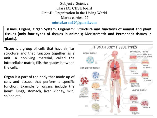 Tissues, Organs, Organ System, Organism_2_IX_CBSE.pptx