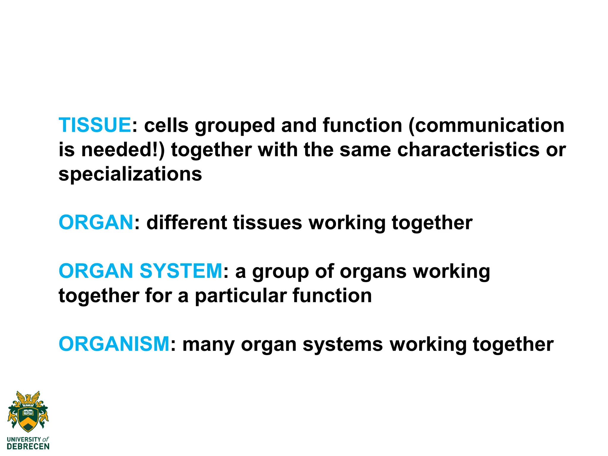 Tissues_Organs_OrganSystems_Lecture copy.pdf